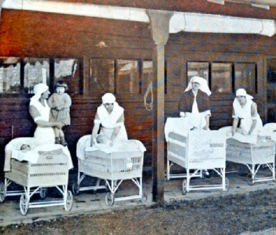 The Timeline : Tweddle Centenary